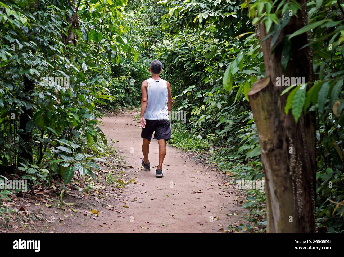 RIO DE JANEIRO, BRAZIL - DECEMBER 21, 2019: Man walking on trail at ...