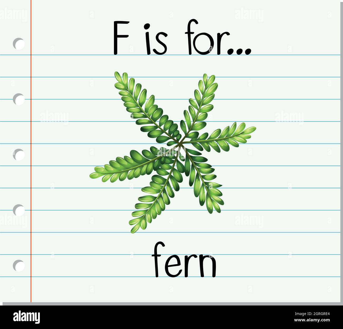 Flashcard letter F is for fern Stock Vector Image & Art - Alamy