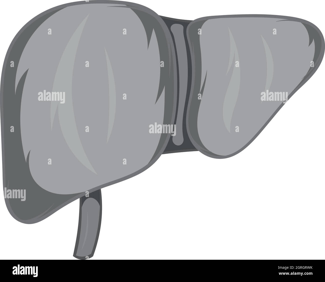 Cartoon symbol liver science Cut Out Stock Images & Pictures - Alamy