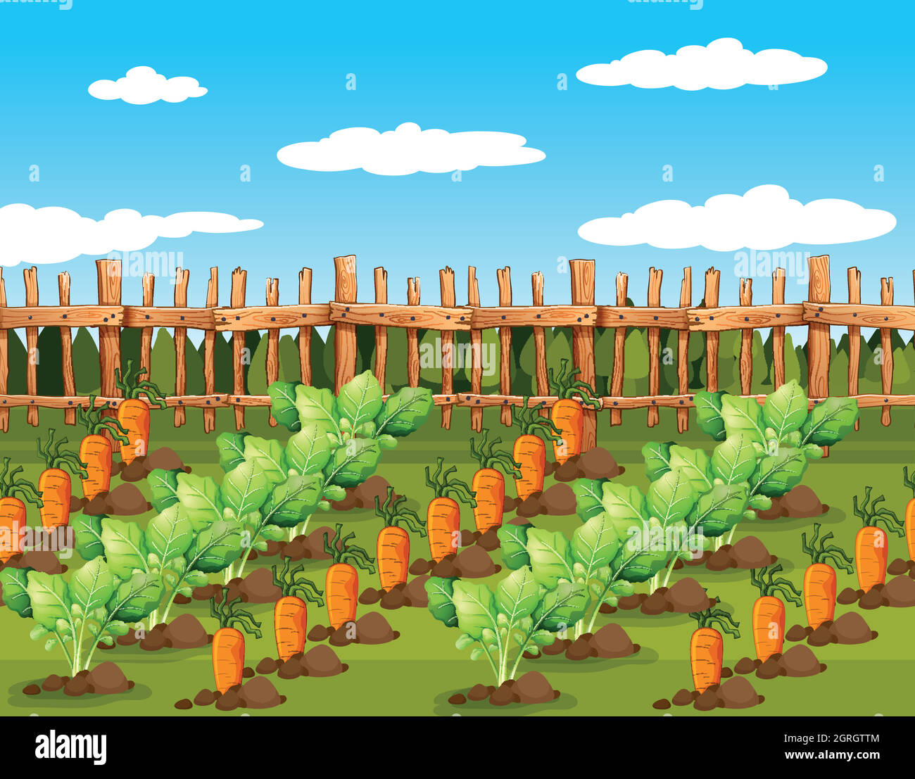 Field of food crops Stock Vector Image & Art - Alamy