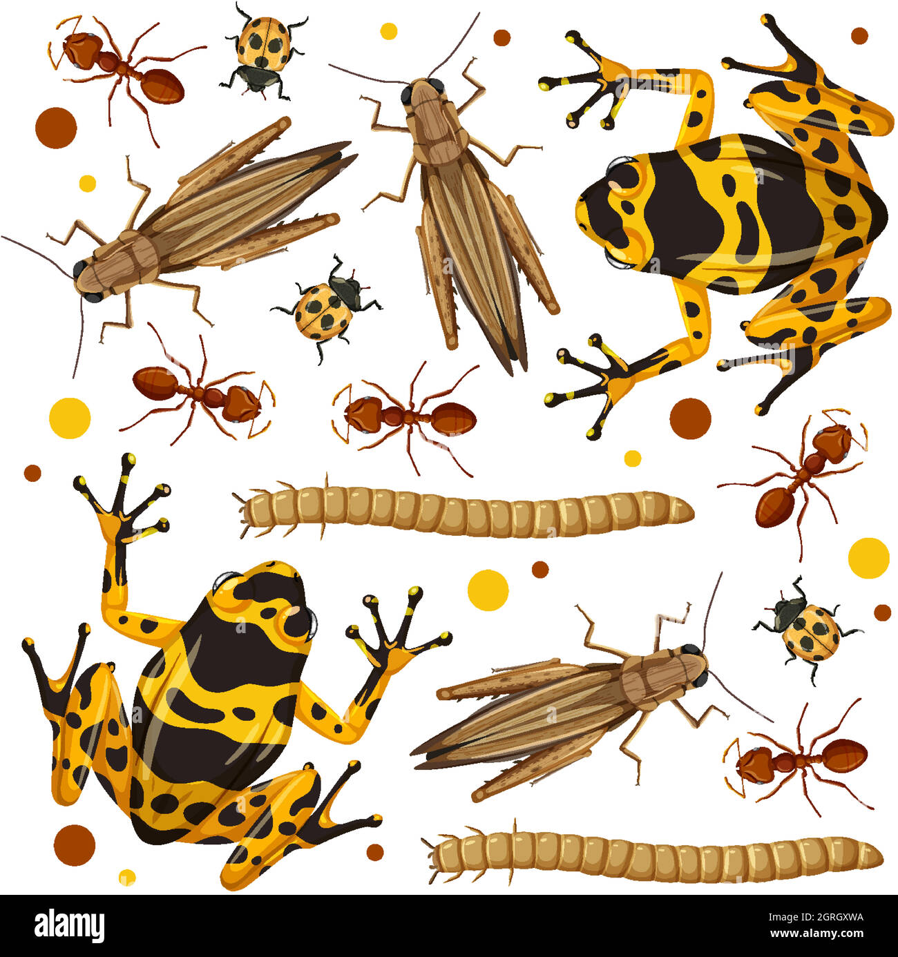 Set of different insects on white background Stock Vector Image & Art ...