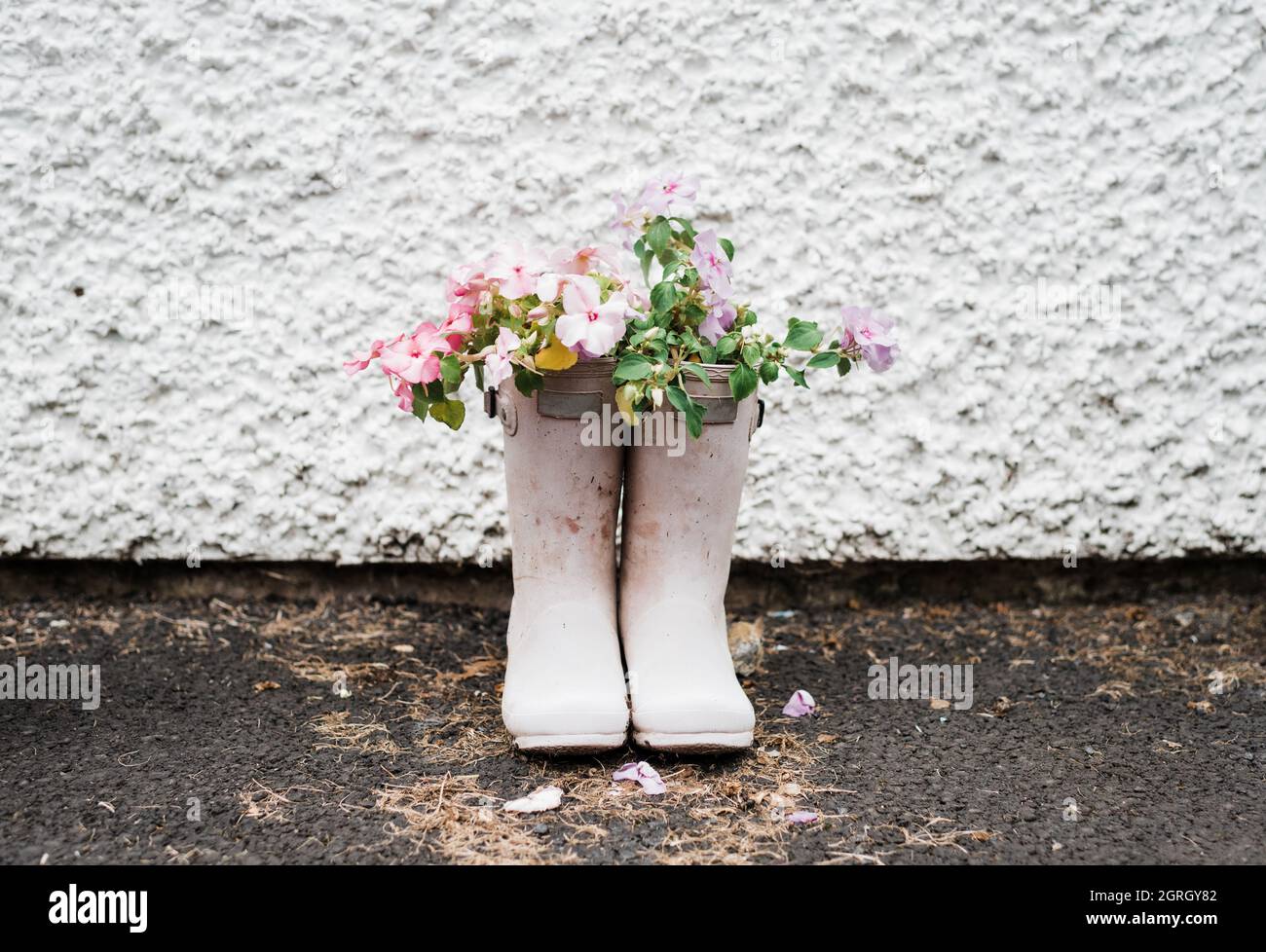 Planted flowers in boots hi-res stock photography and images - Alamy