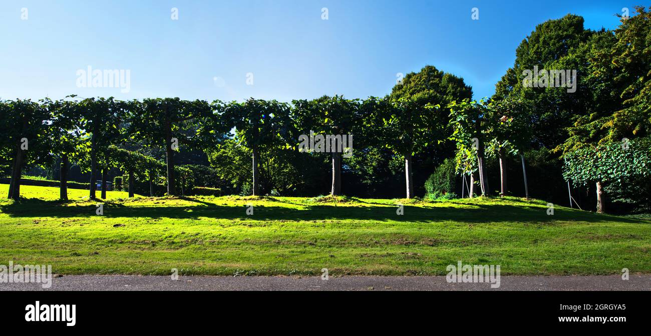 Environment green living landscapes Stock Photo - Alamy