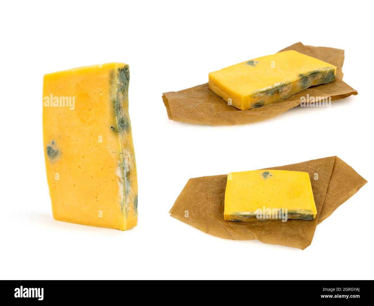 Moldy American Cheese