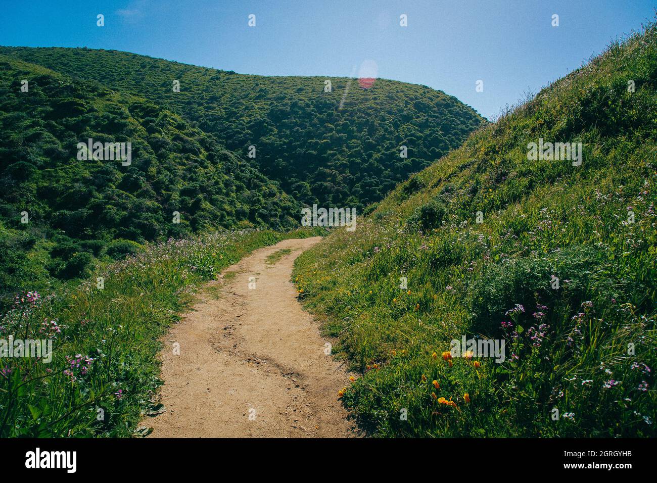Wandering path through the hills Stock Photo - Alamy