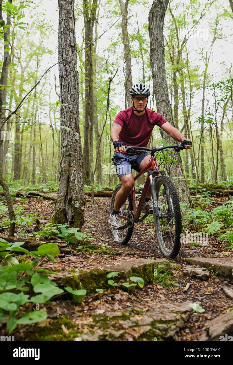 Man riding a mountain bike through forest trails on summer day Stock ...