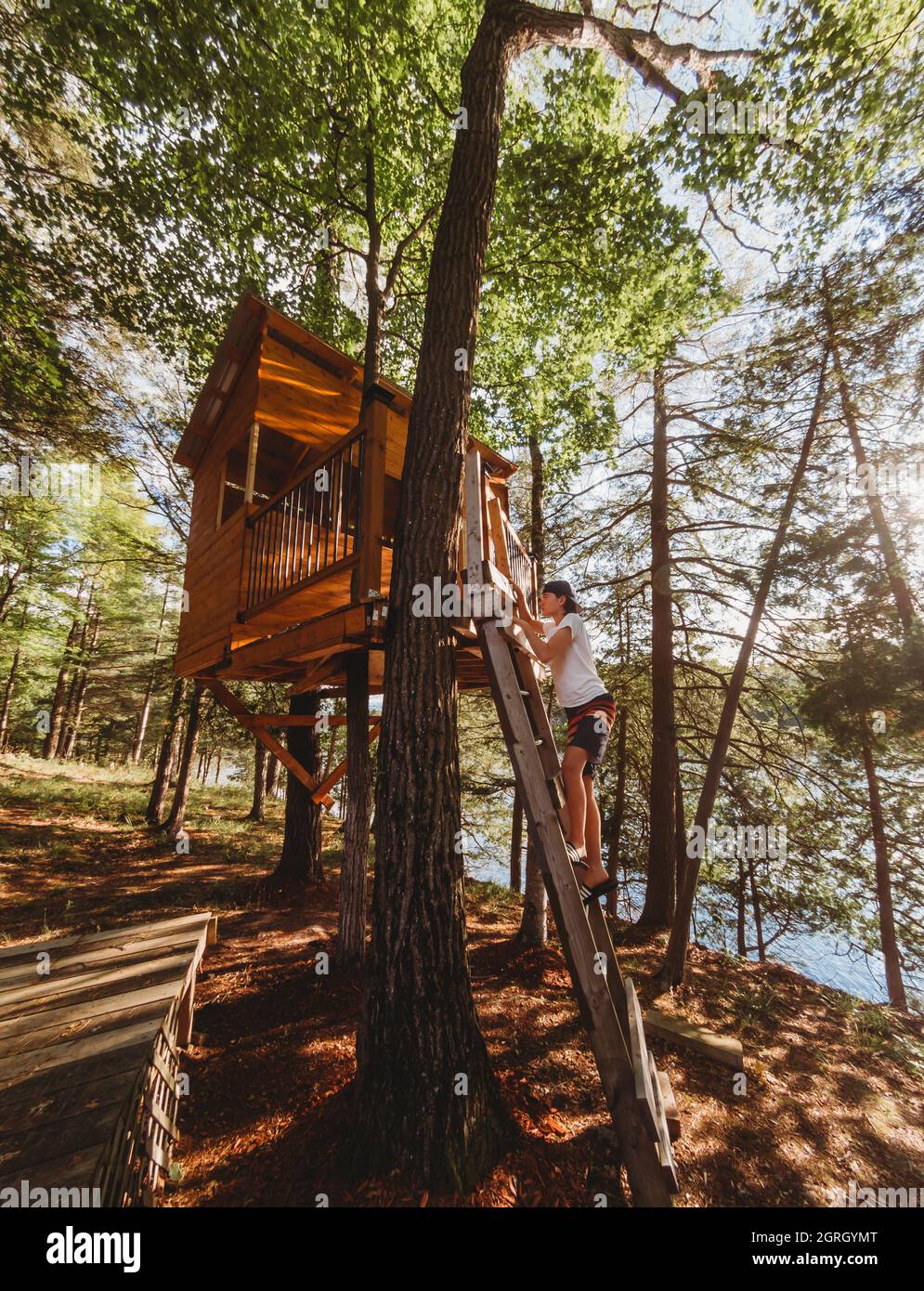 Teen boy climbing the ladder of a treehouse beside a lake Stock Photo ...