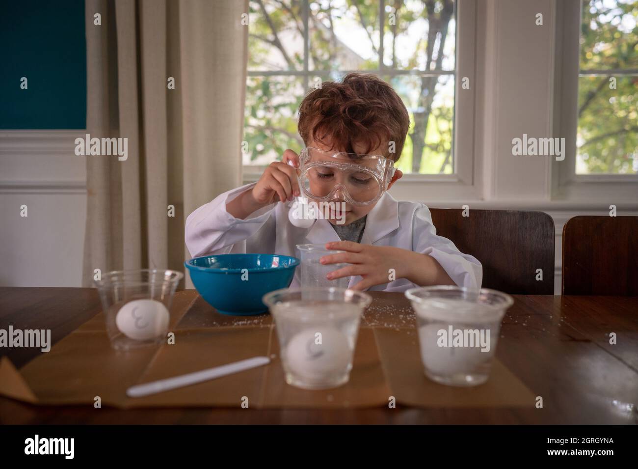 Young scientist concentrating on an experiment wearing lab coat Stock ...