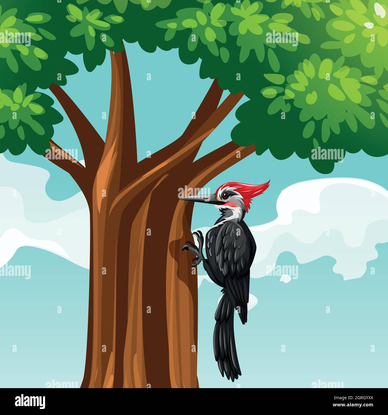 Woodpecker on the tree Stock Vector Image & Art - Alamy