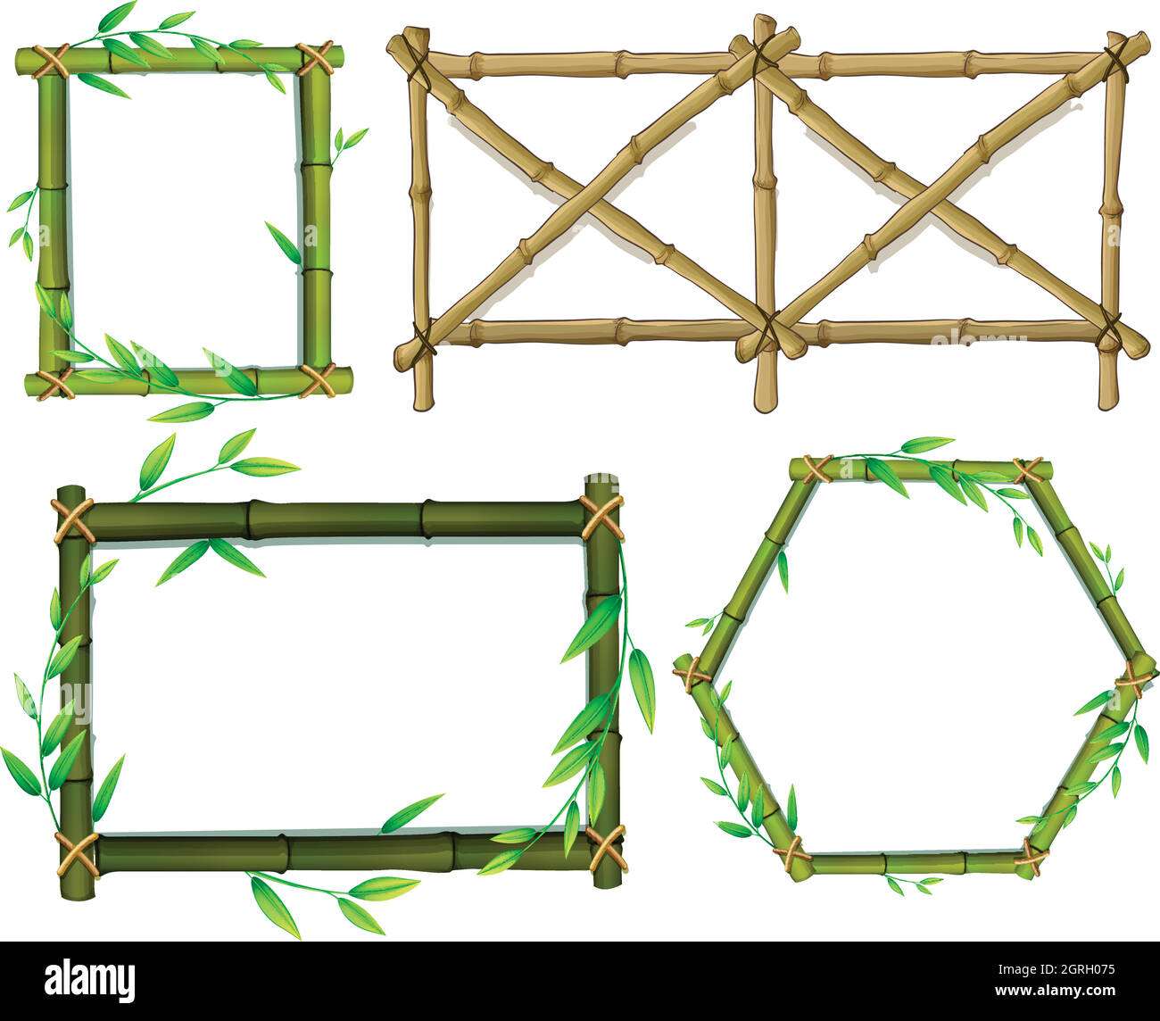 Green and brown bamboo frames Stock Vector Image & Art - Alamy