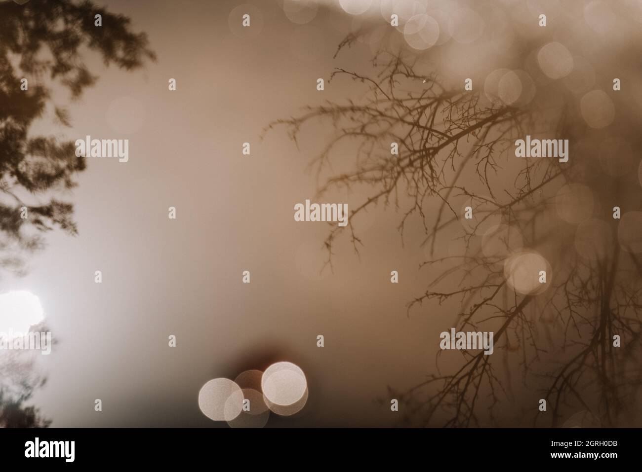 sidewalk reflection after the rain Stock Photo - Alamy