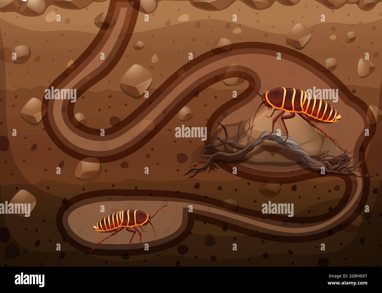 Underground scene with cockroaches Stock Vector Image & Art - Alamy