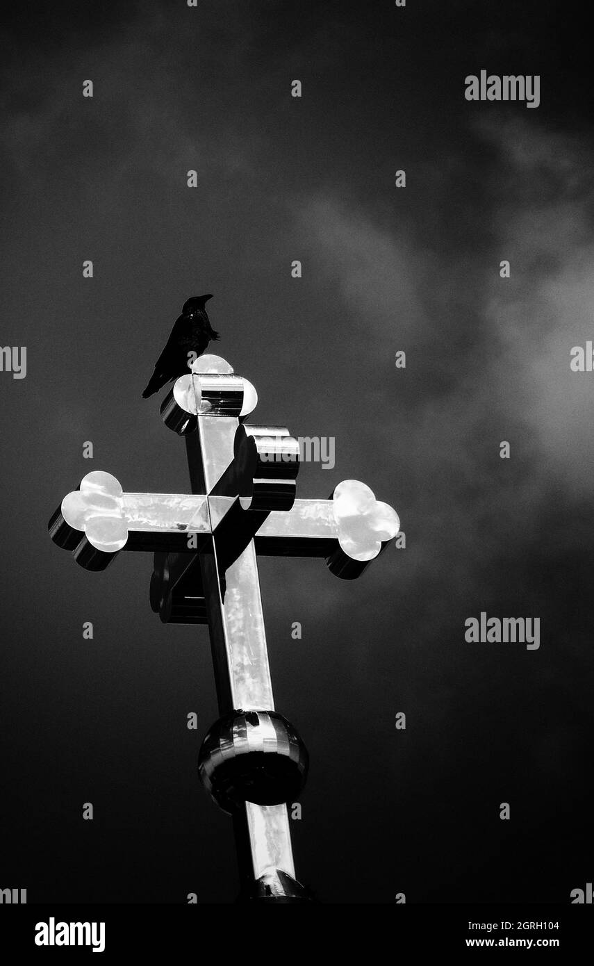 Bird on a cross hi-res stock photography and images - Alamy