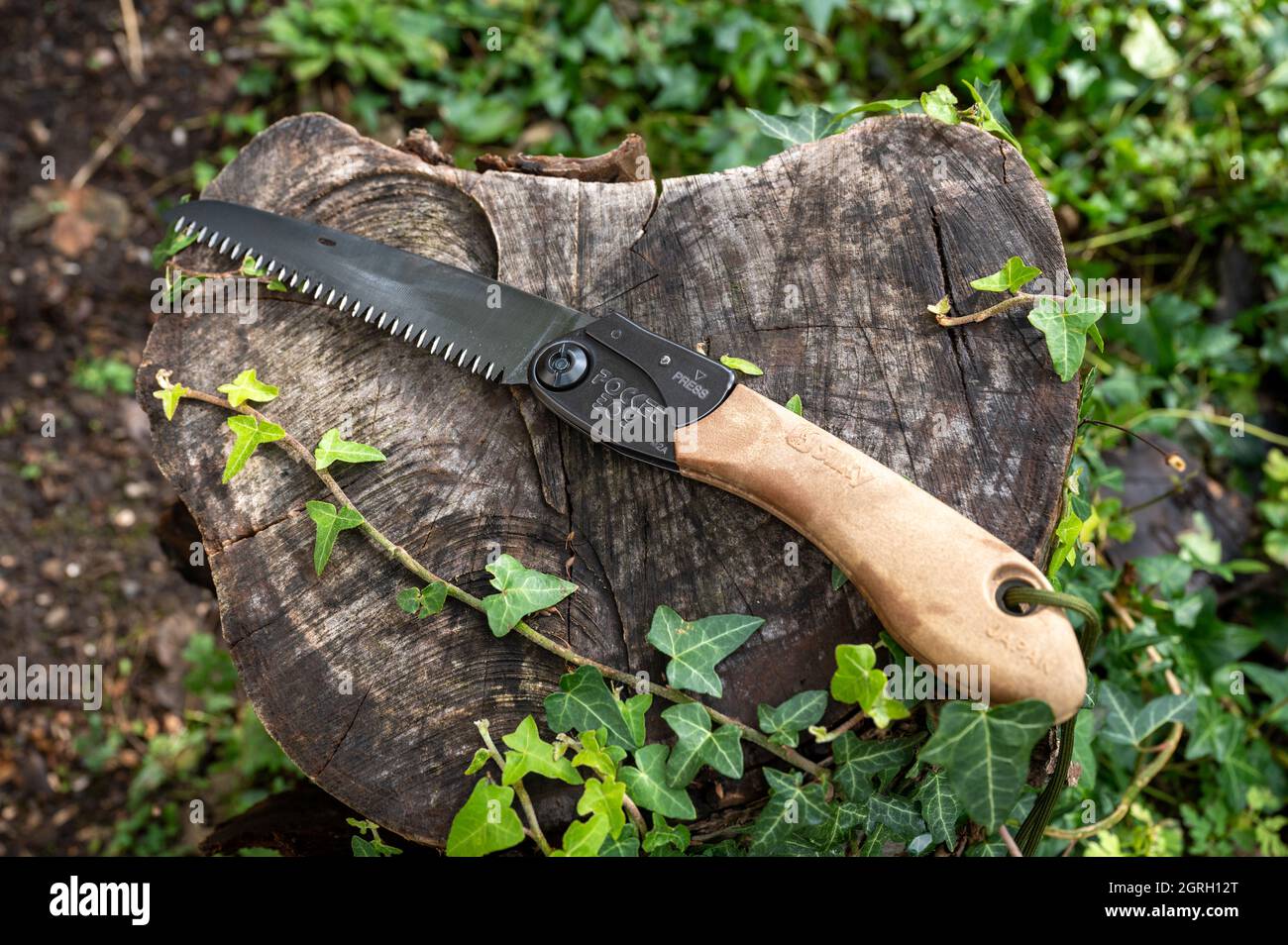 Silky Pocket Boy folding saw pictured outdoors in a tree stump used for ...