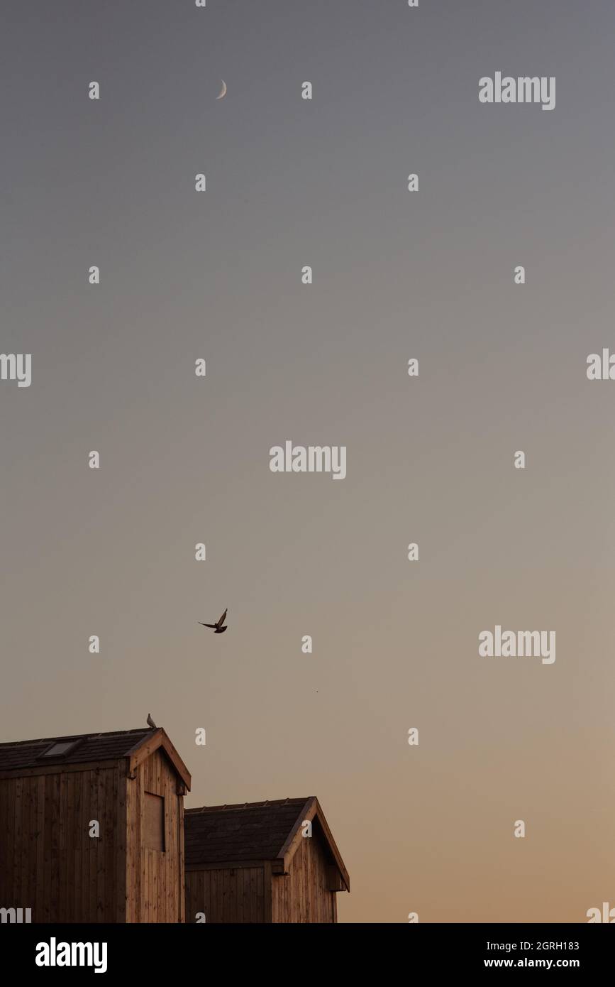 Bird flying over wooden house buildings against a cloudy sky Stock ...
