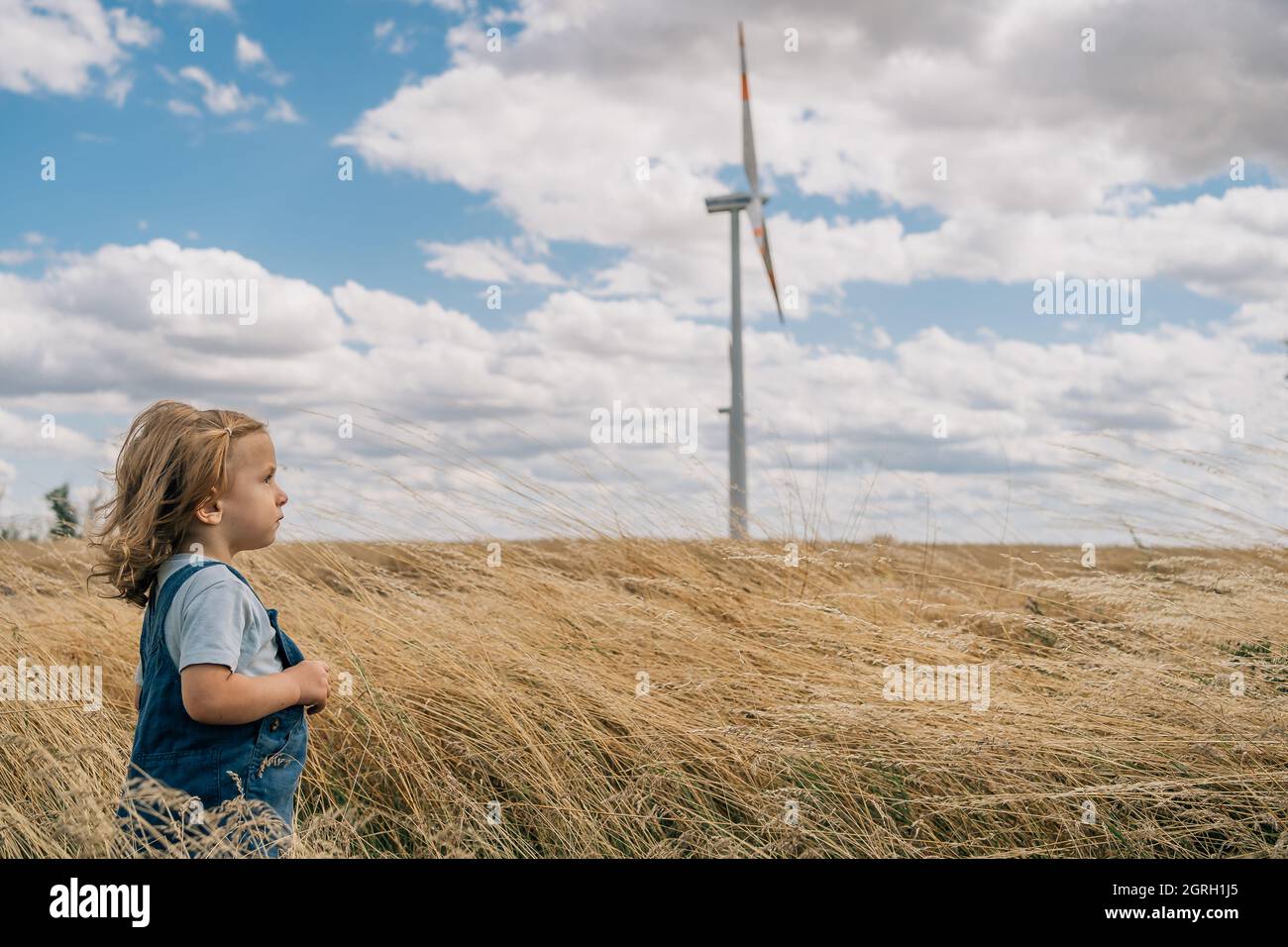 Little boy in the field looking at the windmill Stock Photo - Alamy