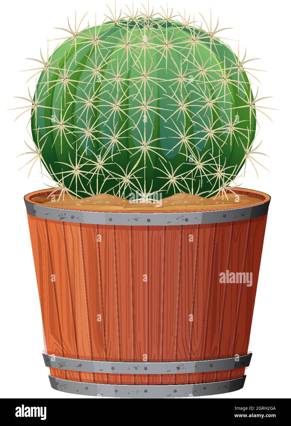 Barrel cactus desert Stock Vector Images - Alamy