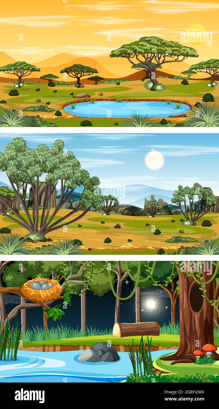 Different types of forest horizontal scenes Stock Vector Image & Art ...