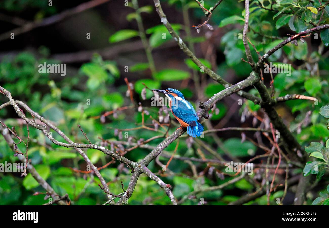 Riverside pictures hi-res stock photography and images - Alamy