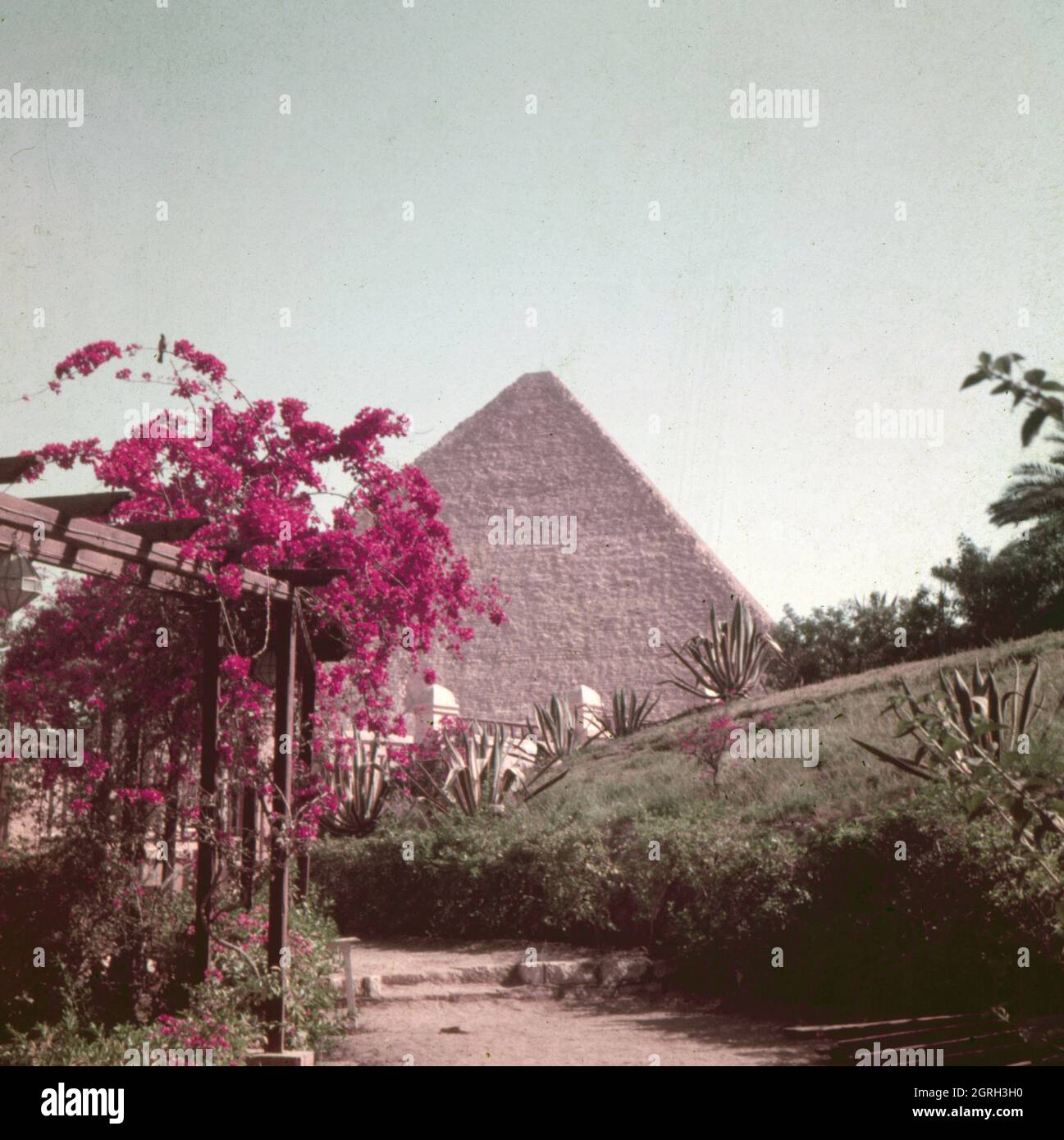 Mena house pyramid hi-res stock photography and images - Alamy