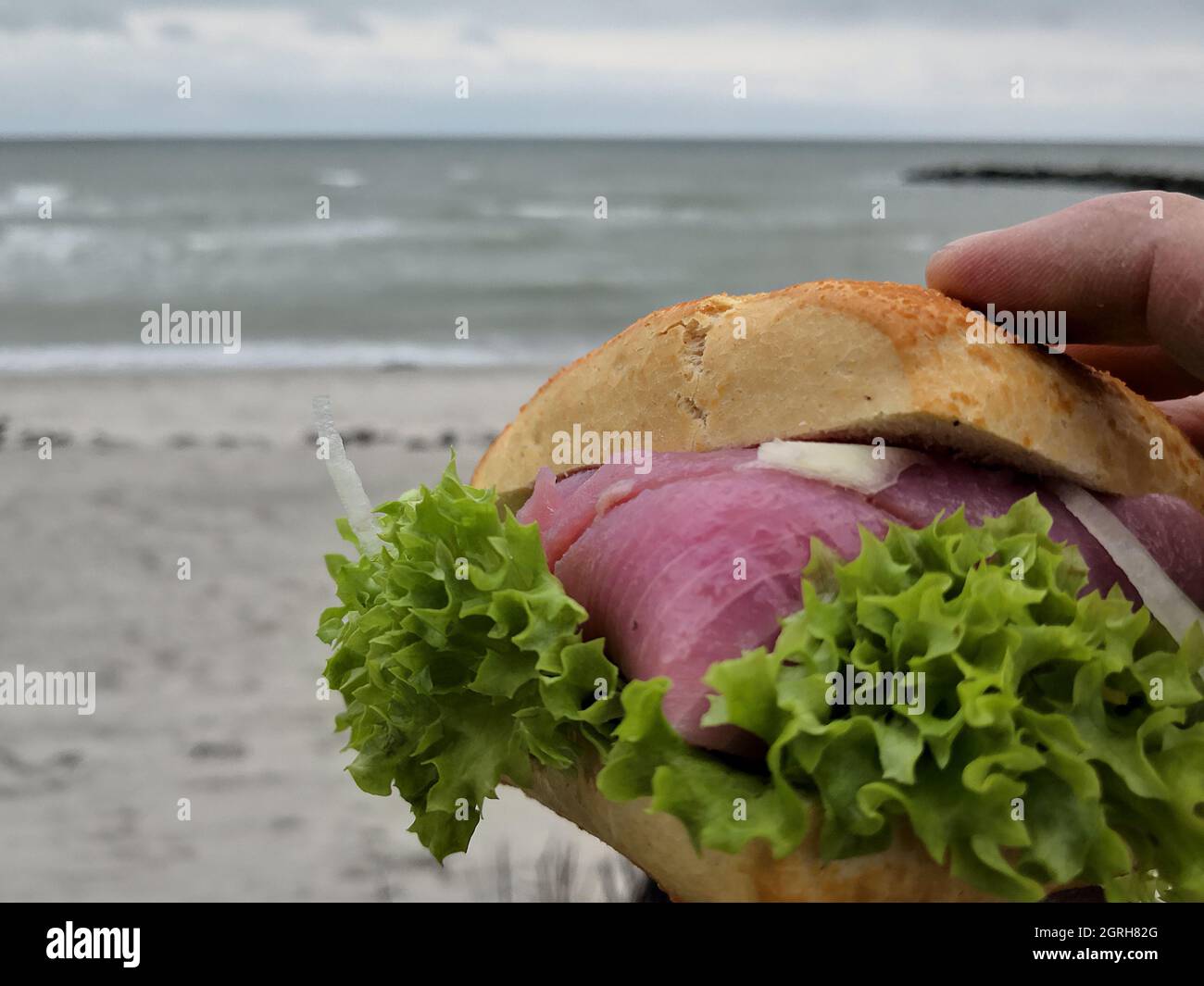 Maties hi-res stock photography and images - Alamy