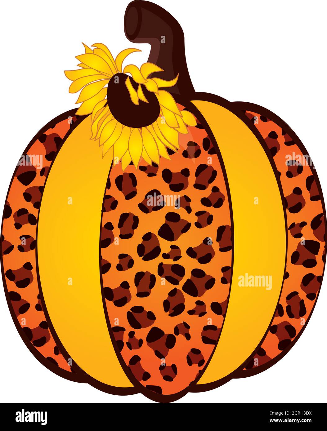 Sunflower Pumpkin Leopard. Vector Cute Leopard Pumpkin with Sunflower ...