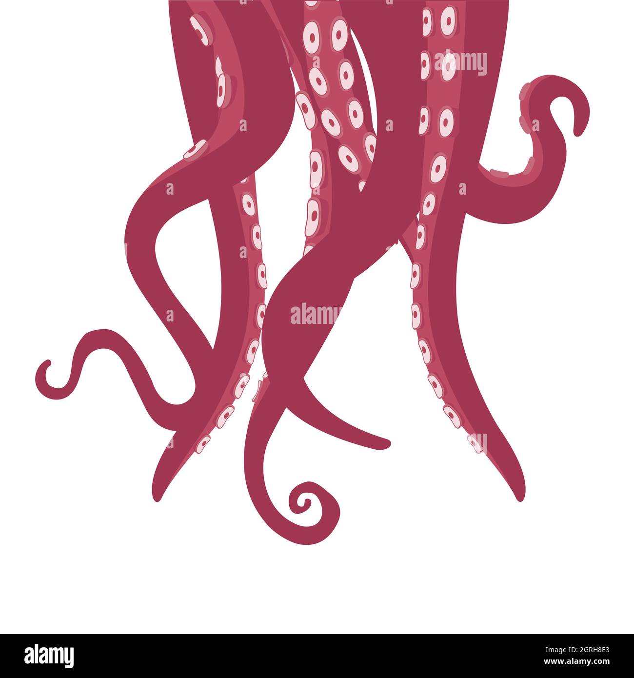 Tentacles of octopus isolated on white background. Vector Stock Vector Image & Art - Alamy