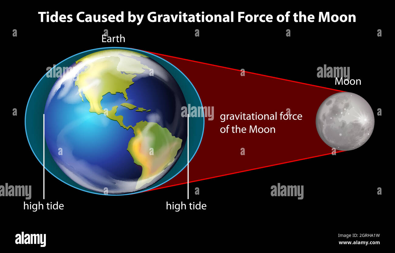 Gravitational Force Images