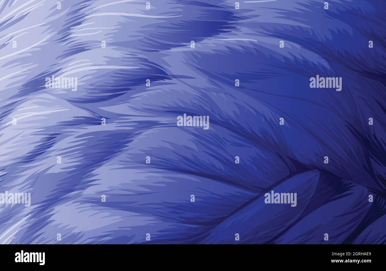 Feather elements hi-res stock photography and images - Alamy