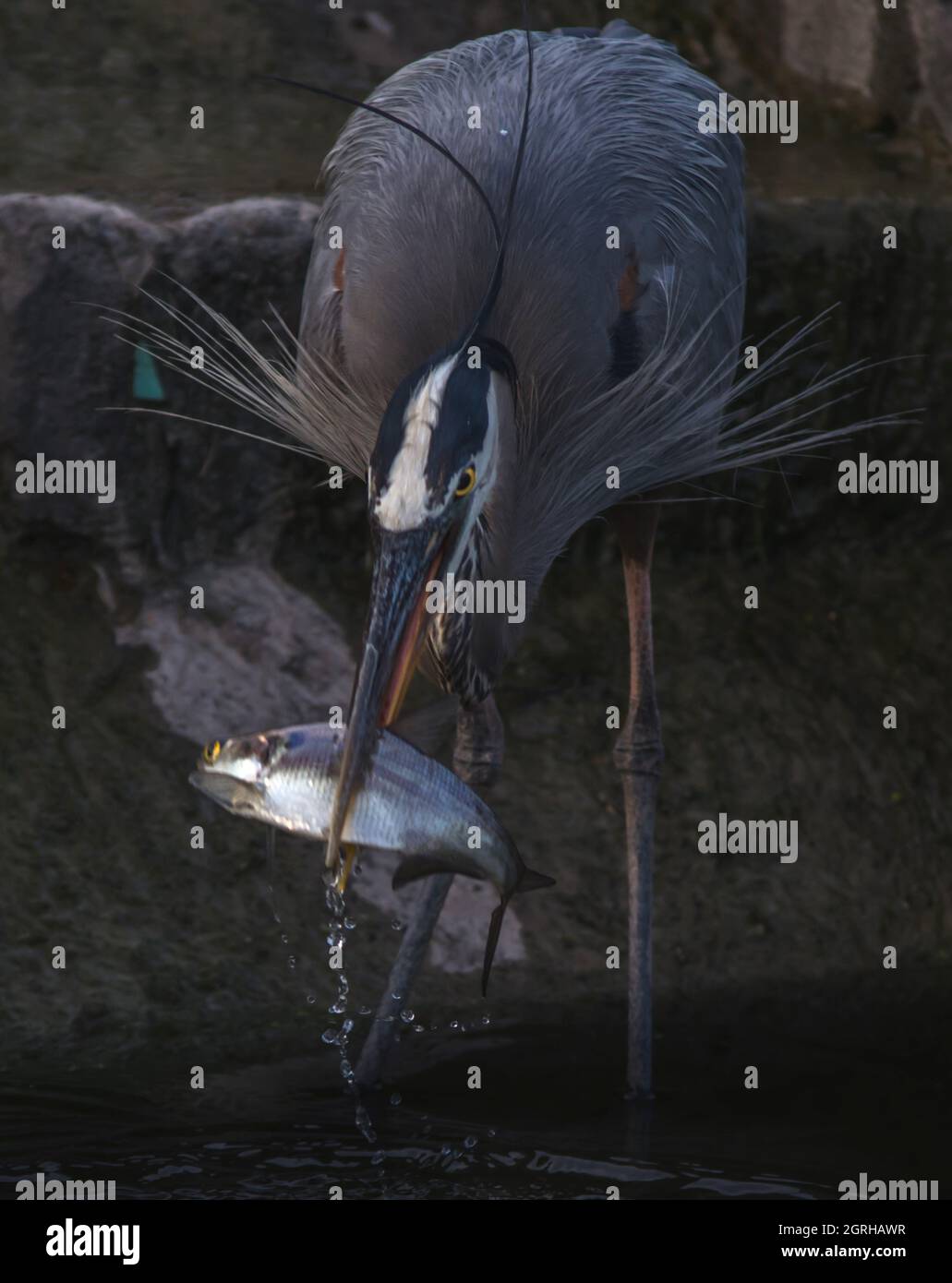 Concho river hi-res stock photography and images - Alamy