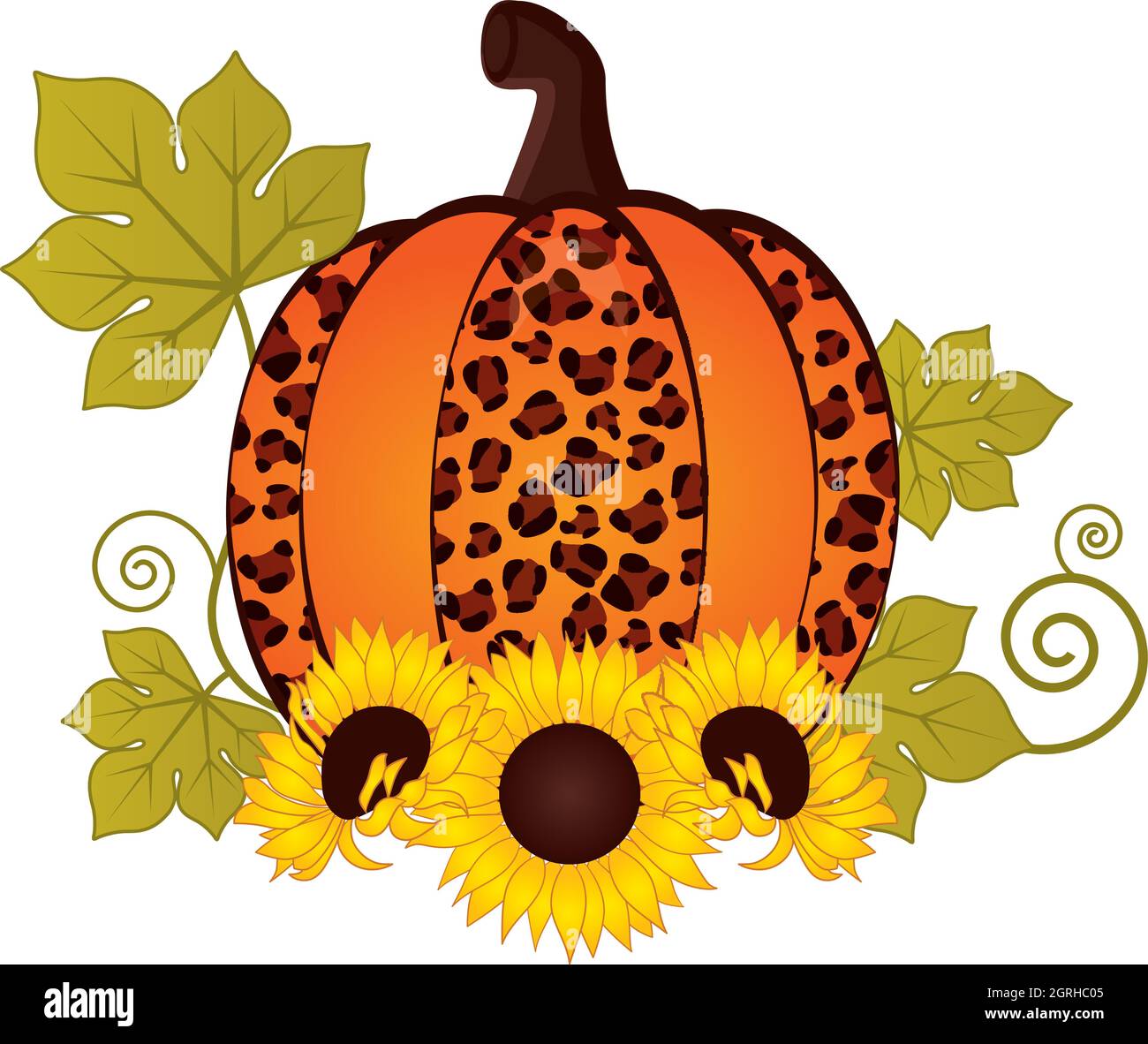 Sunflower Pumpkin Leopard. . Vector Cute Leopard Pumpkin with Sunflower ...