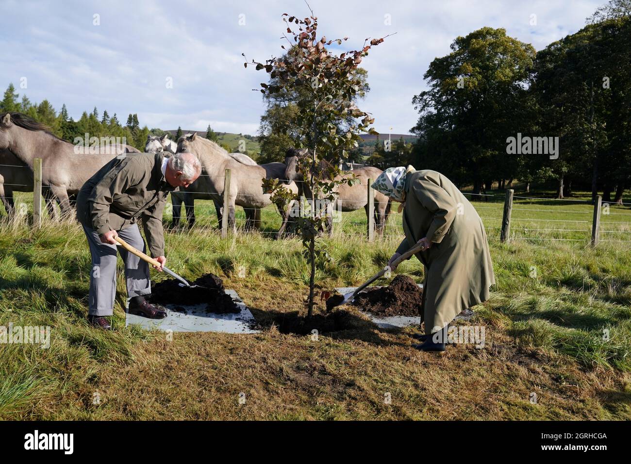 Tree planting scotland hi-res stock photography and images - Alamy