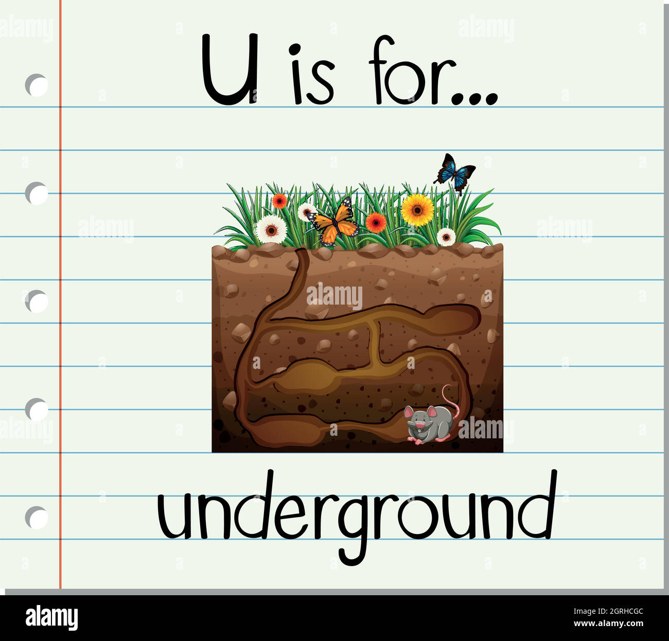 Flashcard letter U is for underground Stock Vector Image & Art - Alamy