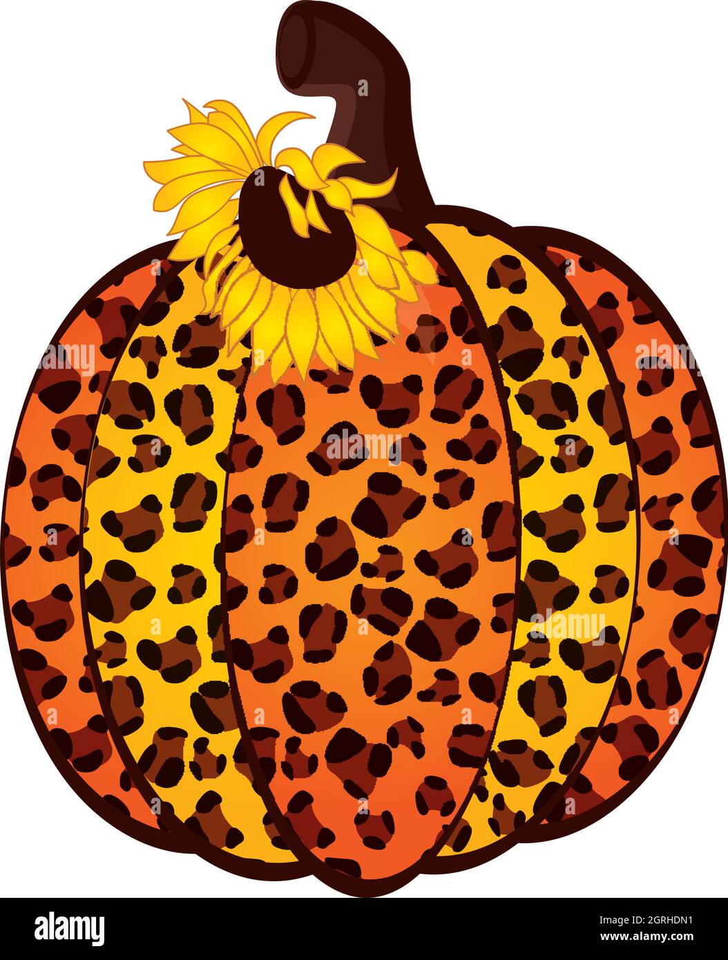 Sunflower Pumpkin Leopard. Vector Cute Leopard Pumpkin with Sunflower ...