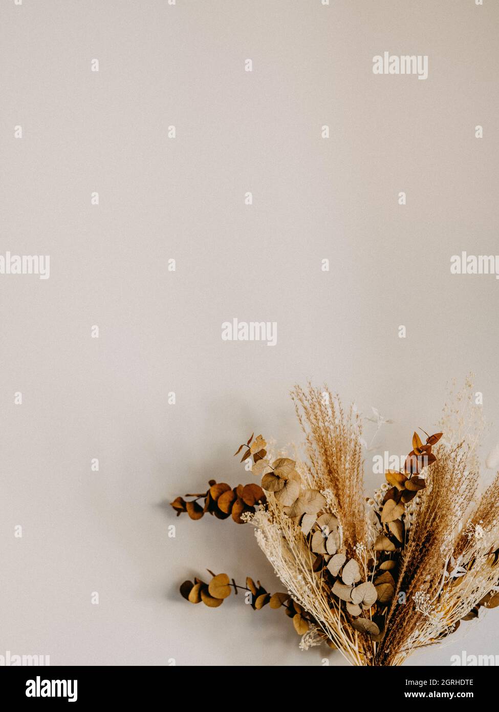 Earthy brown tones hi-res stock photography and images - Alamy