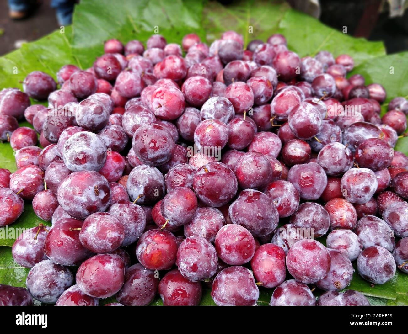 Falsa hi-res stock photography and images - Alamy