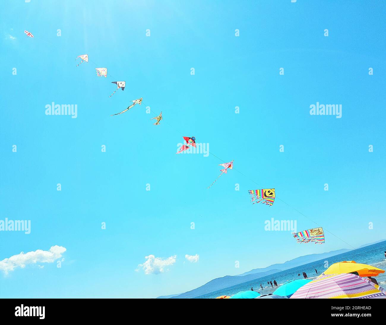 Flamingo kites hi-res stock photography and images - Alamy