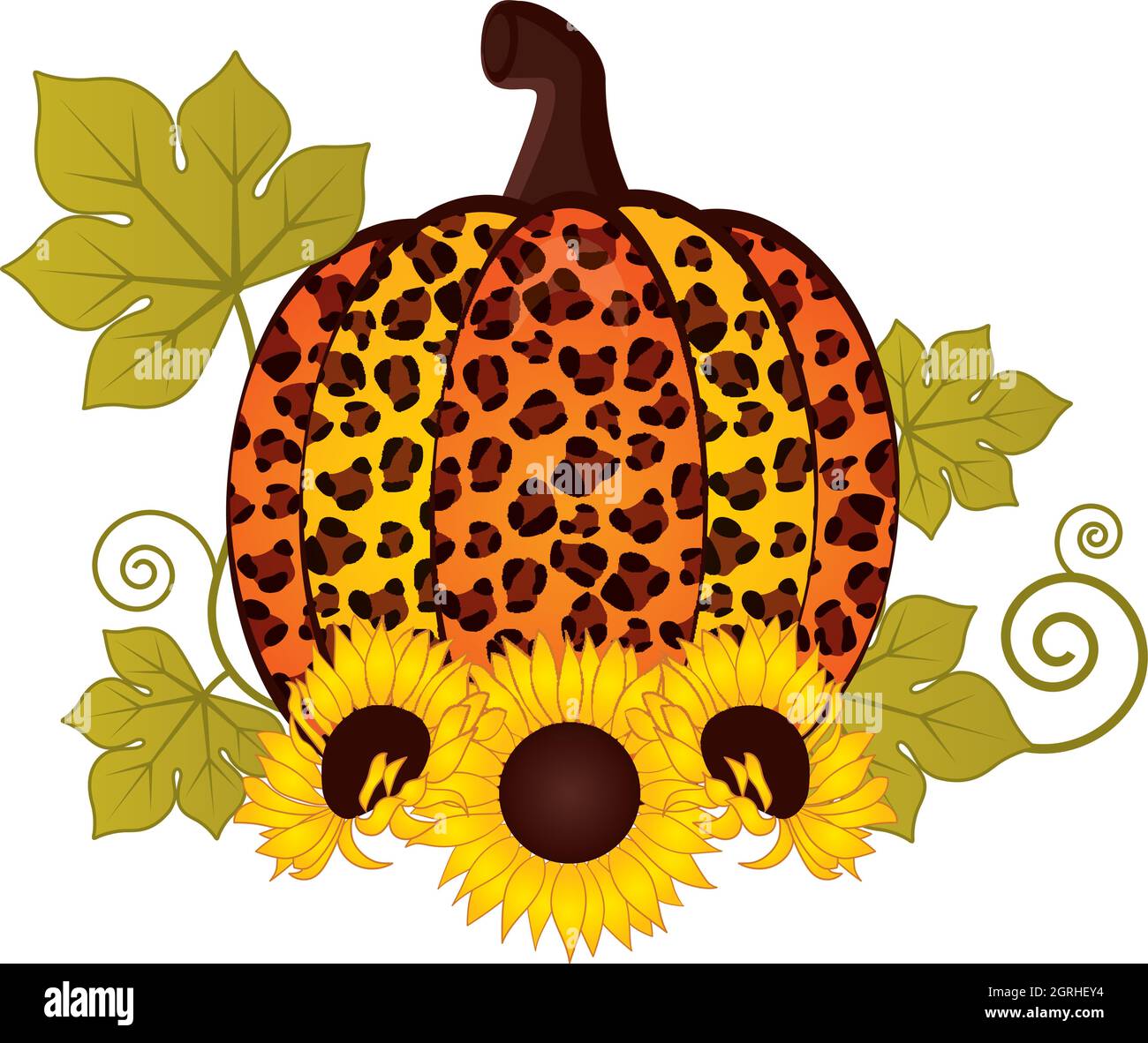 Sunflower Pumpkin Leopard. . Vector Cute Leopard Pumpkin with Sunflower ...