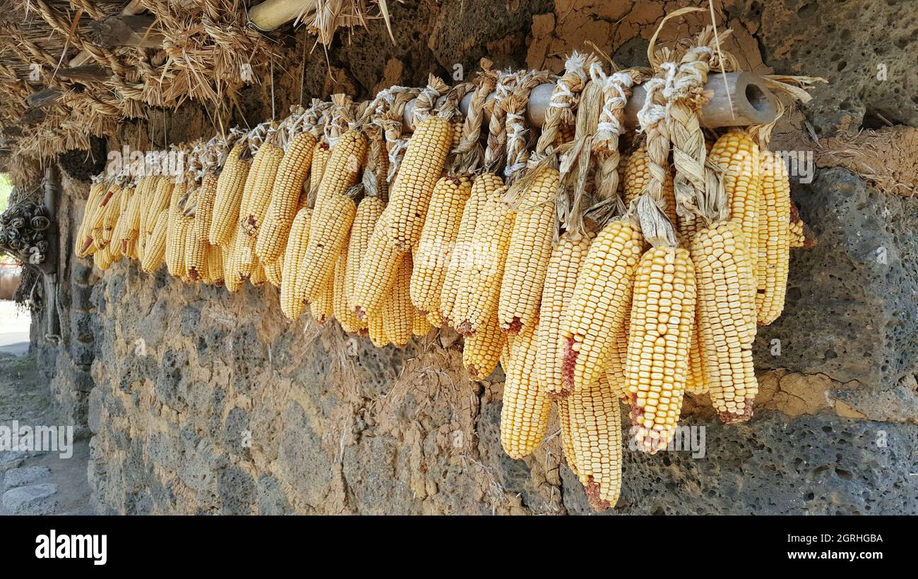 Cob walls hi-res stock photography and images - Alamy