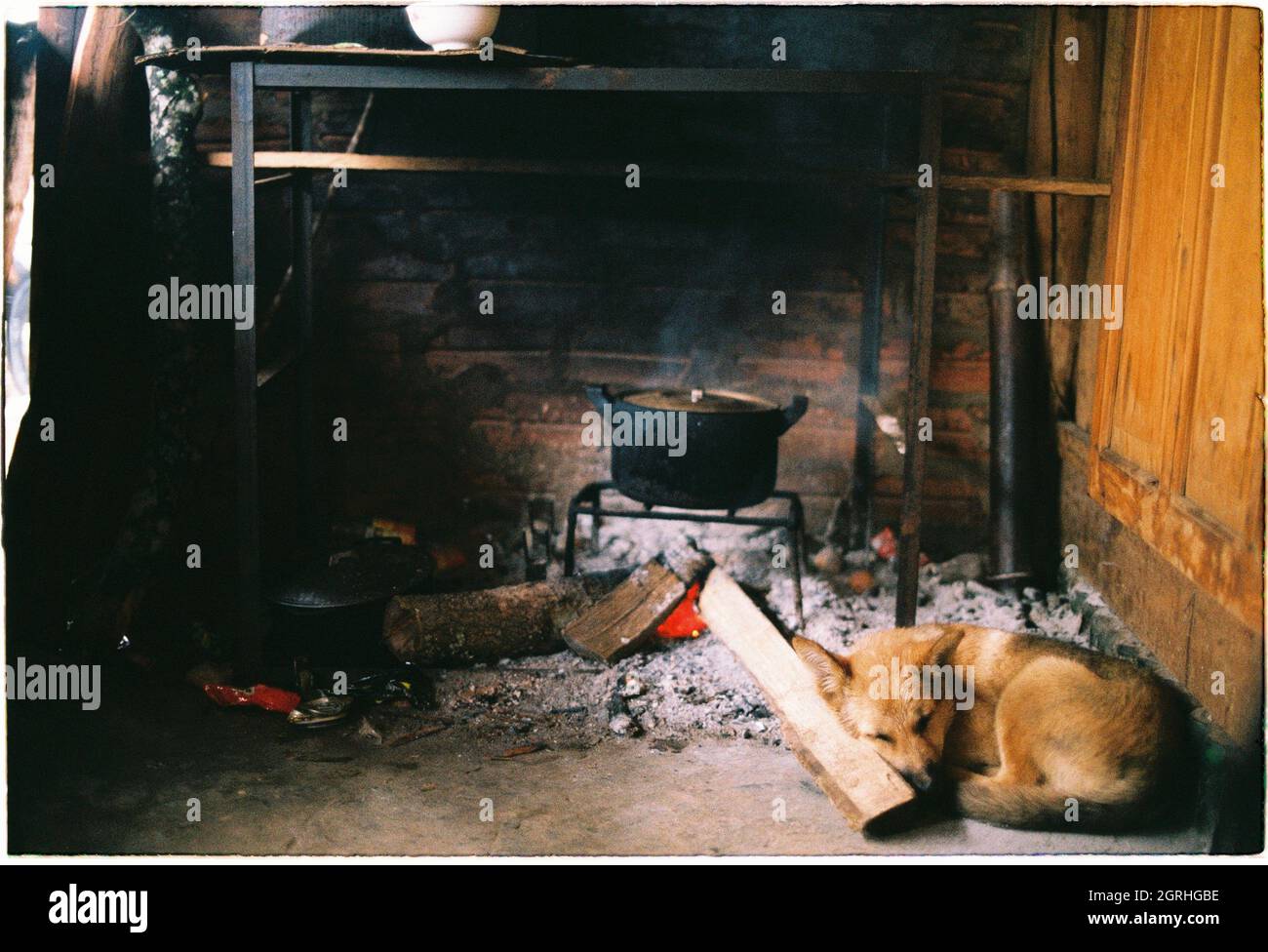 Wood burning stove dog hi-res stock photography and images - Alamy