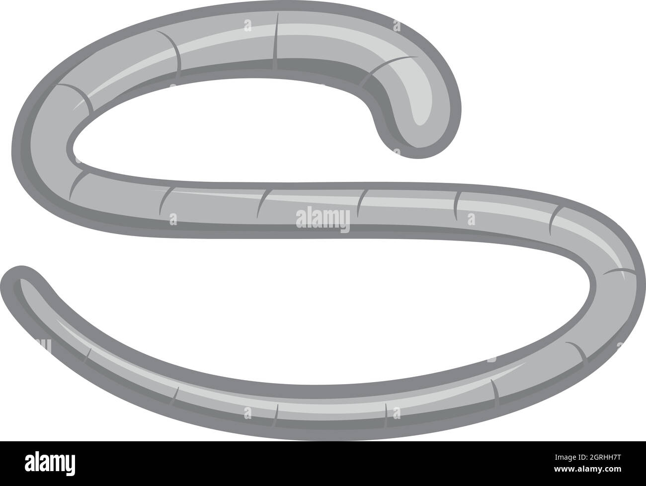 Roundworm parasite Stock Vector Images - Alamy