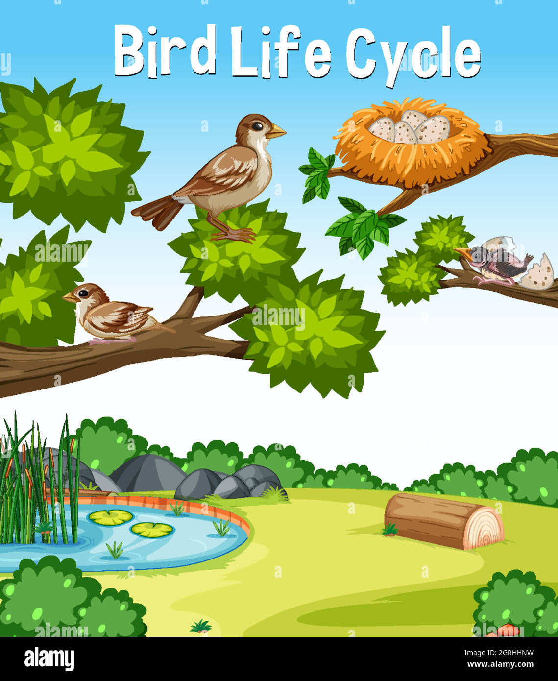 Wildlife in outdoor scene Stock Vector Images - Alamy