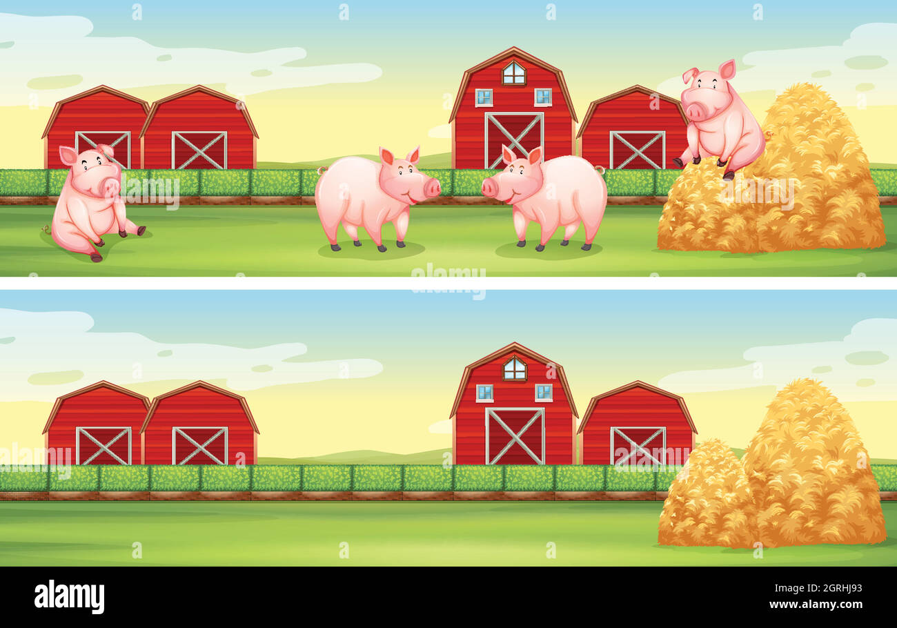Scenes with pigs on the farm Stock Vector Image & Art - Alamy