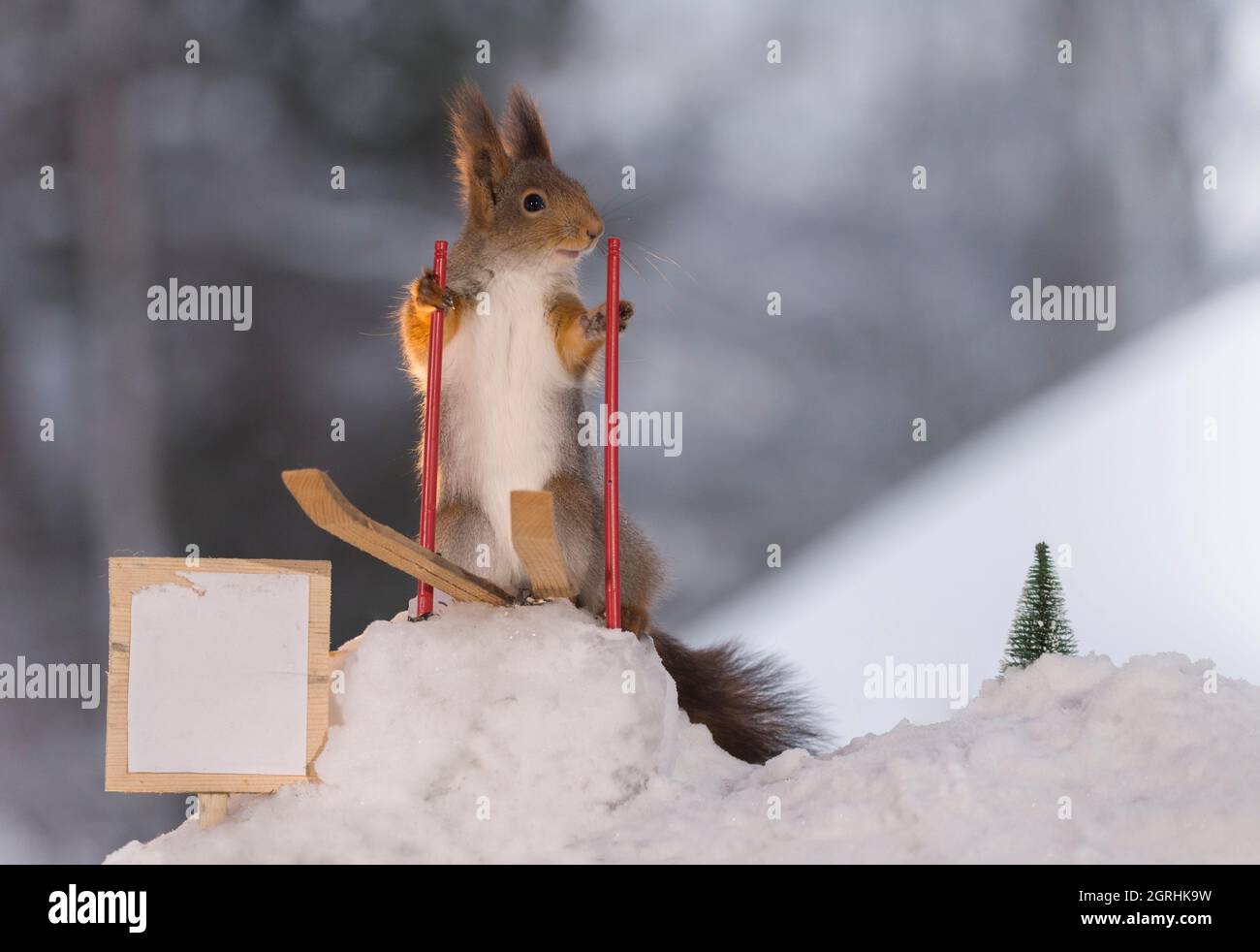 Ski rods hi-res stock photography and images - Alamy