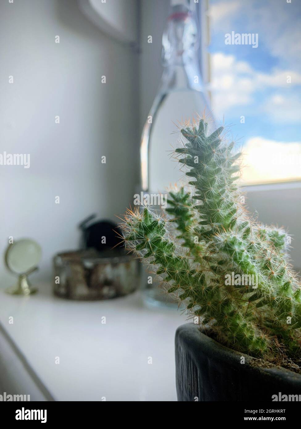 Vertical closeup of a window sill with small cactus pots and objects ...