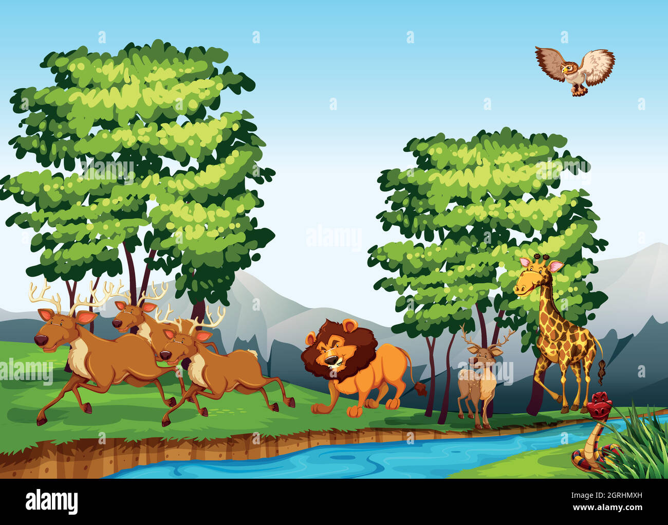 Wild animals in the forest at daytime Stock Vector Image & Art - Alamy