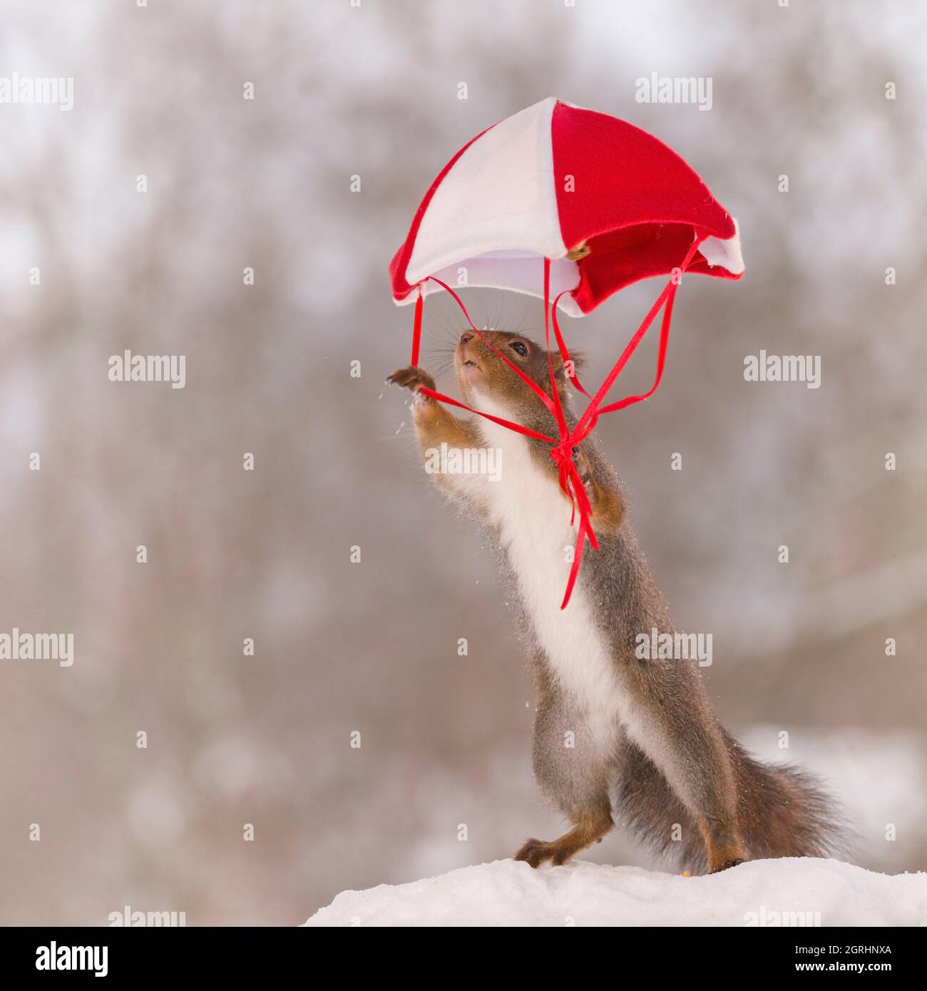 Parachute tail hi-res stock photography and images - Alamy