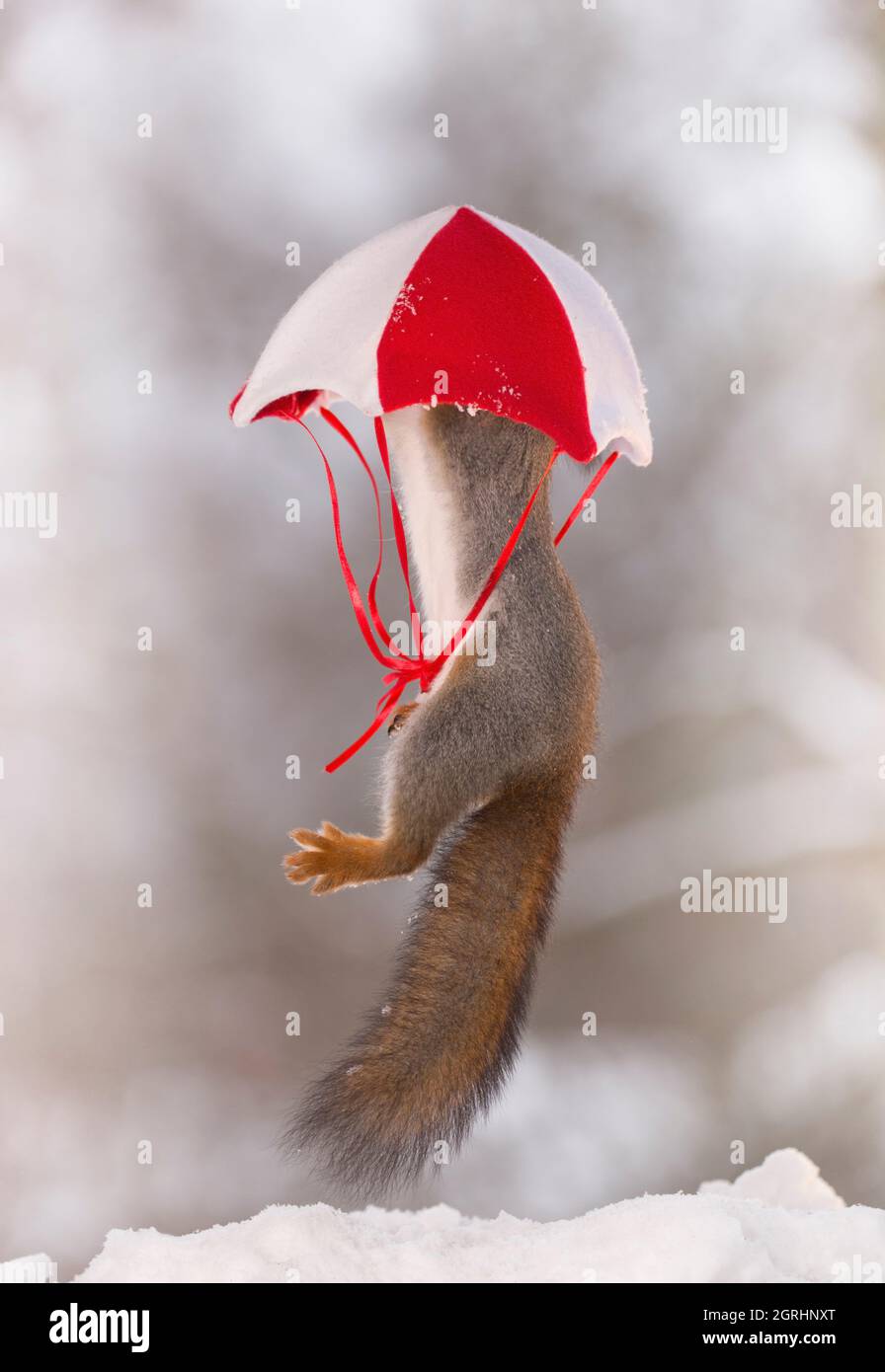 Parachute tail hi-res stock photography and images - Alamy