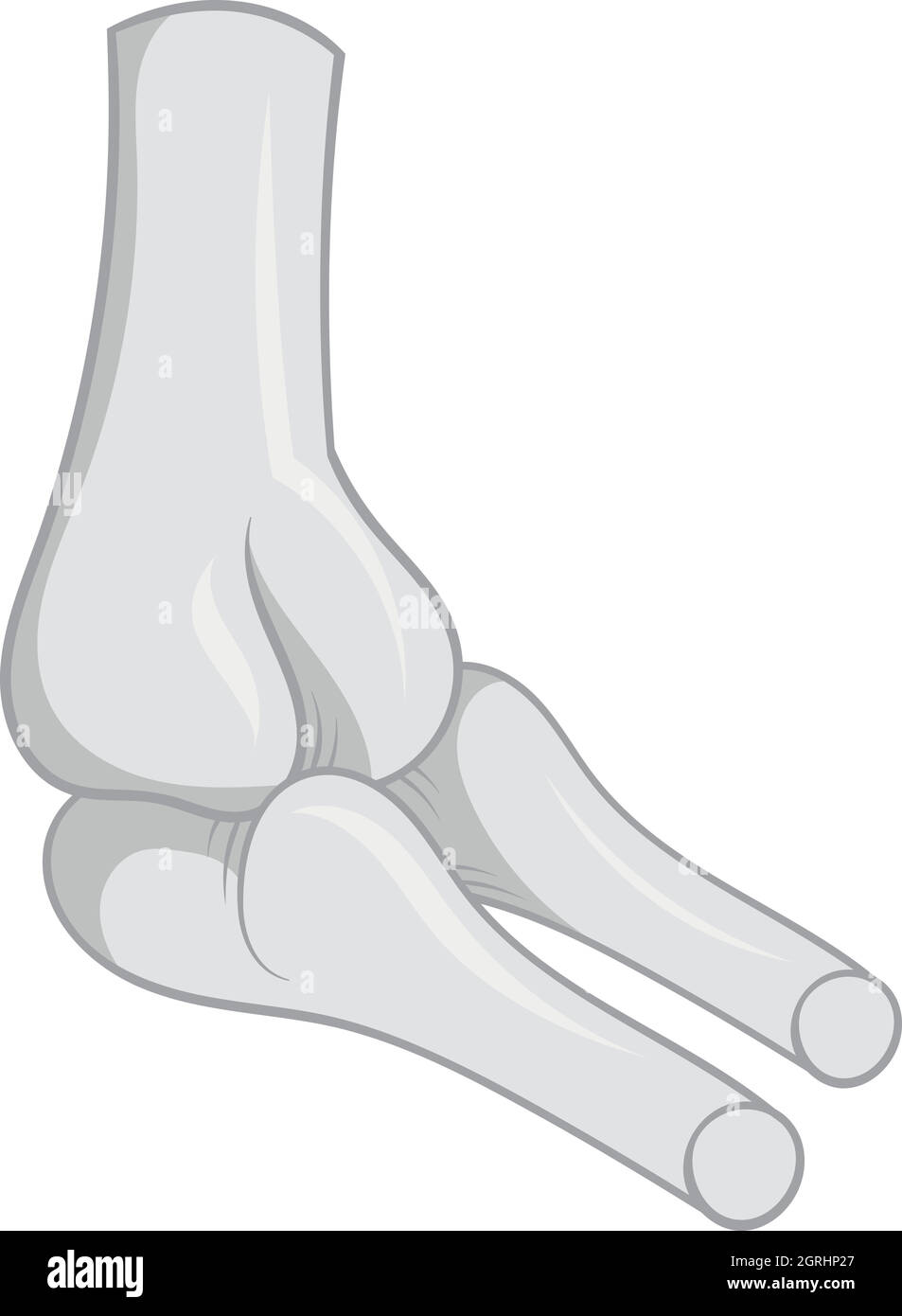 Black ankle Stock Vector Images - Alamy