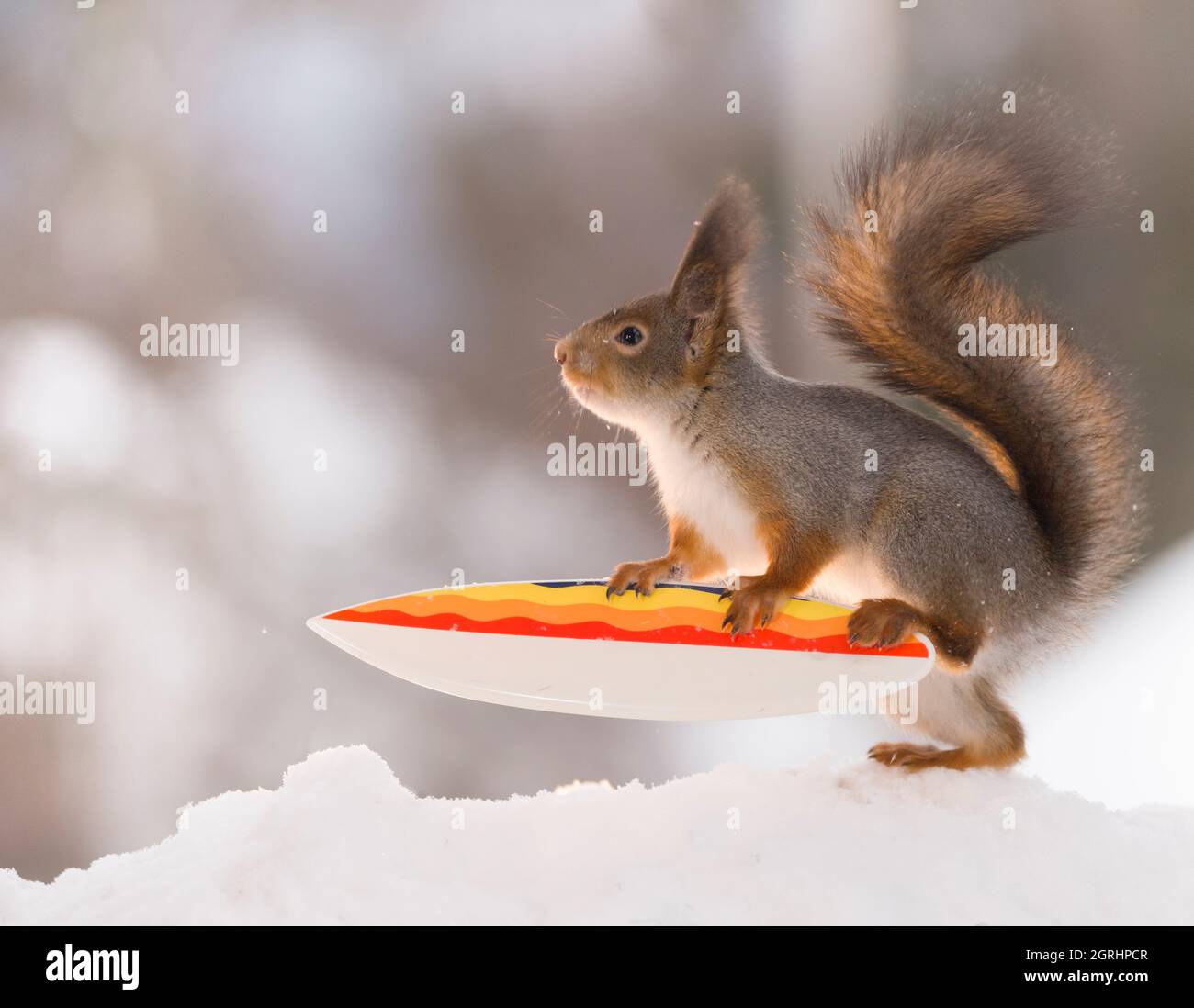 Red mouth climbing hi-res stock photography and images - Alamy